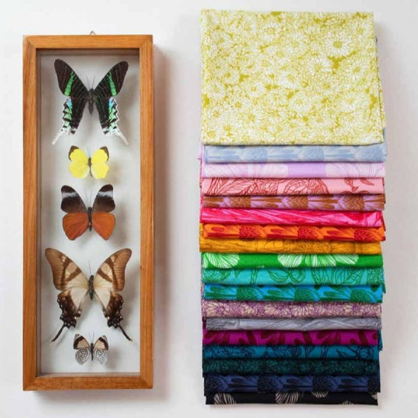 PRE-ORDER: Indelible | Anna Maria Textiles | Half Yard Bundle – Little Fabric Shop